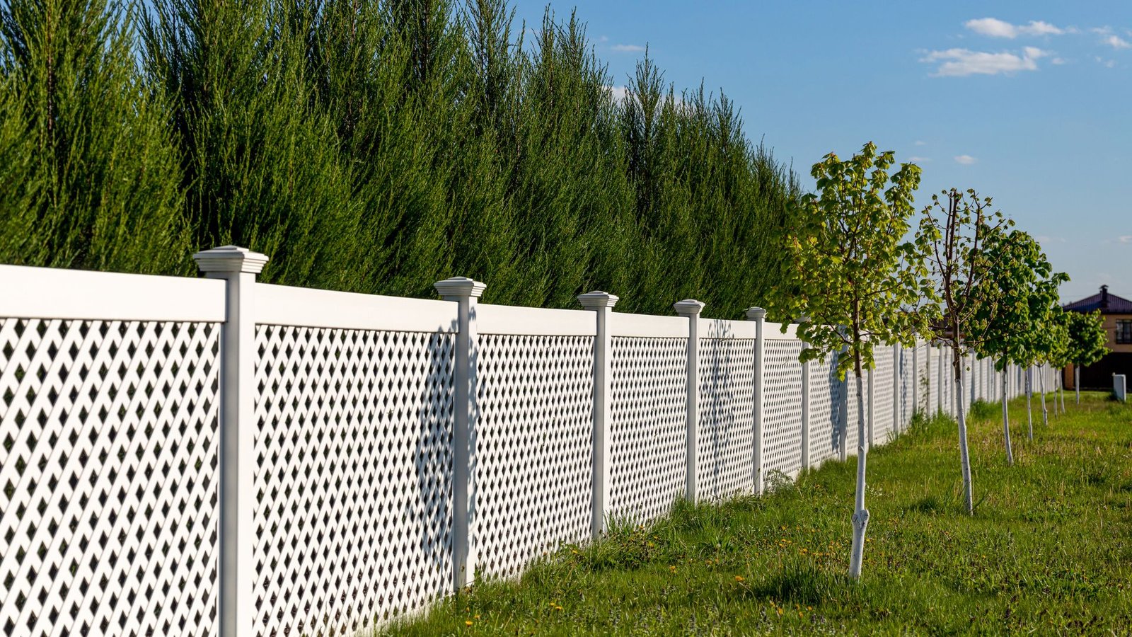 Best Fence Posts NZ: Top Types, Costs & Buying Tips